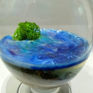 Tropical Seabed Beach Scene Glass Terrarium, Preserved Moss Terrarium ...