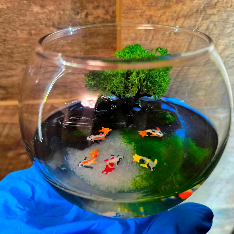 Miniature Koi Fish - Etsy