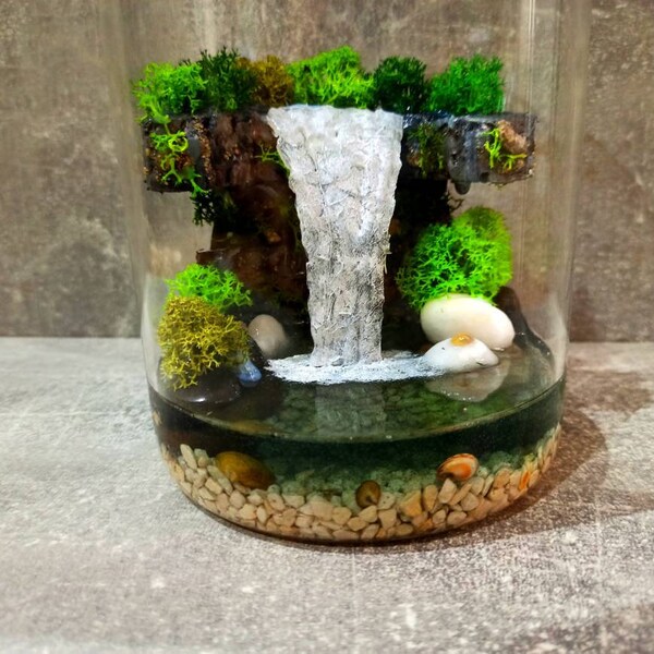 Unique Terrarium - Etsy