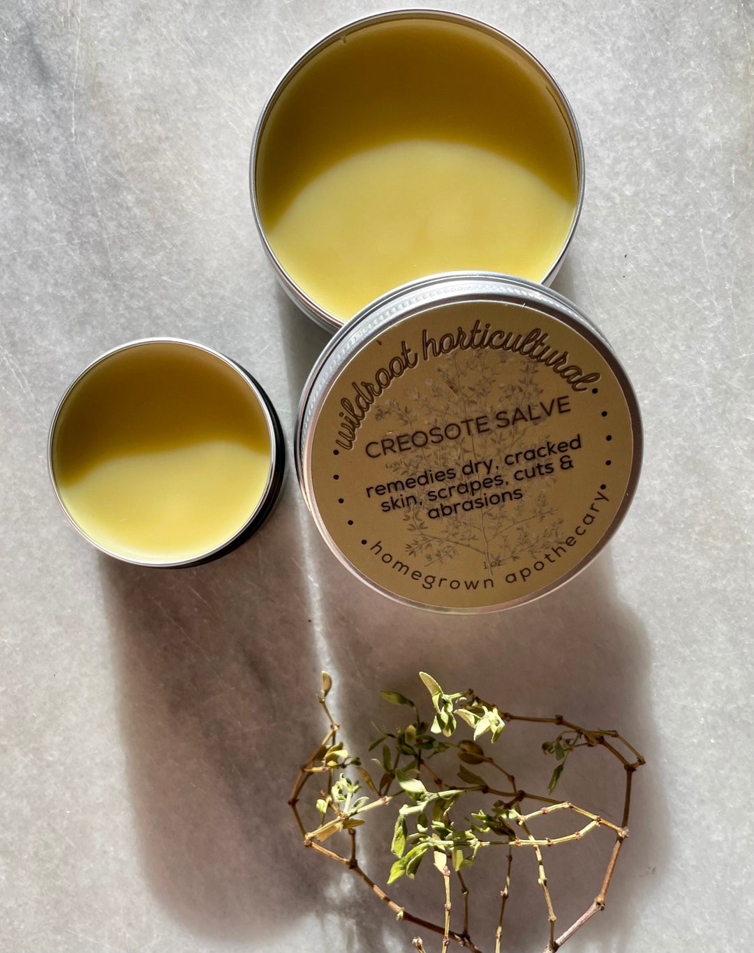 Chaparral Creosote Bush Salve - Etsy