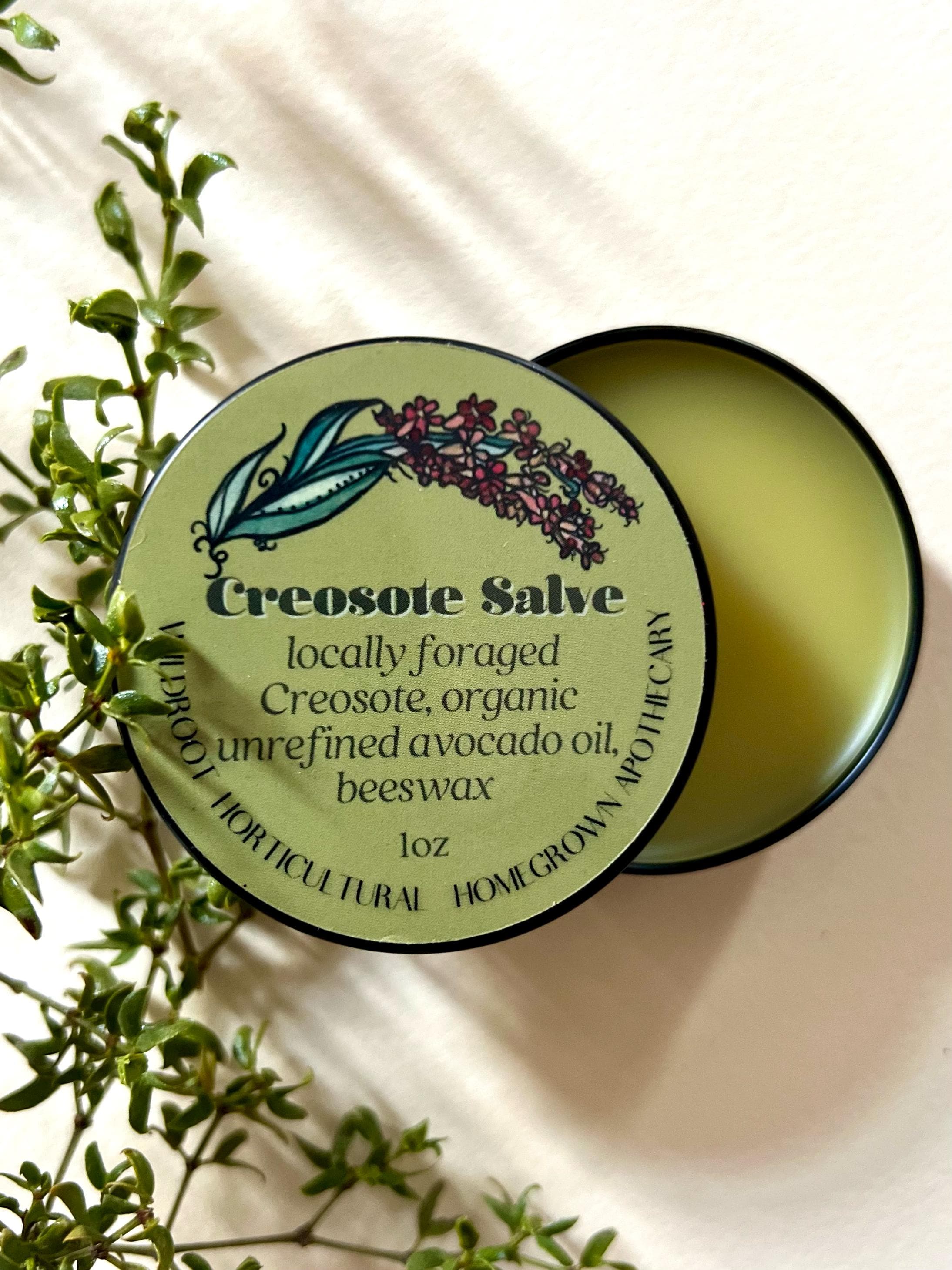 Chaparral Creosote Salve: Arizona Desert Rain Skin Balm - Etsy