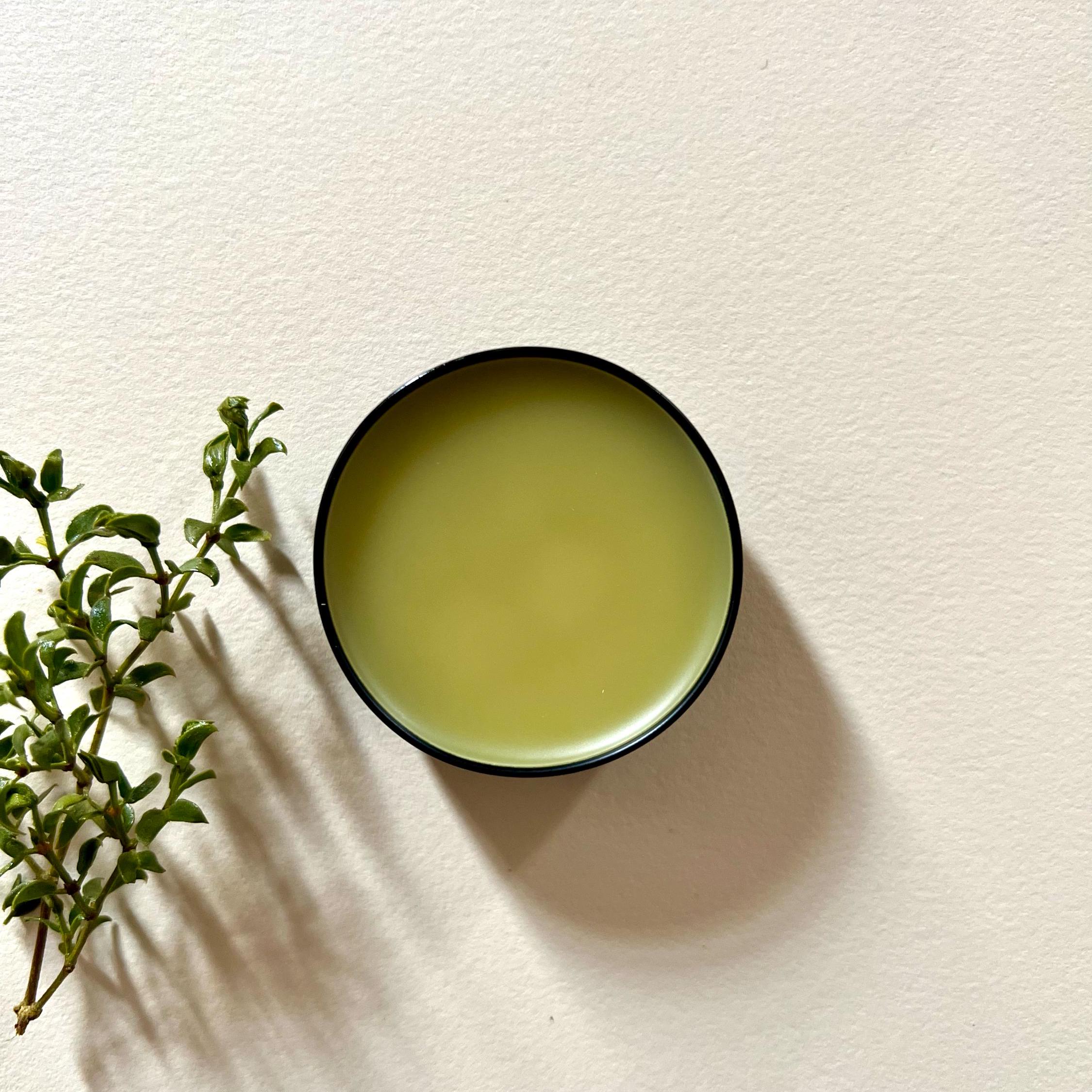 Bundle of 2, Chaparral Creosote Bush Skin Salve, Locally Harvested Skin ...