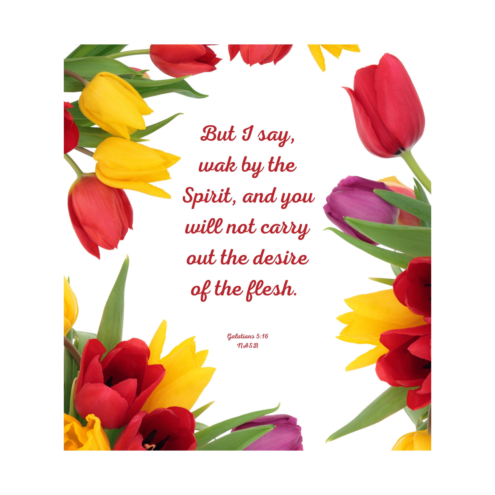 Scripture Cards | Scripture Printable | Instant Download | Bible Verse ...