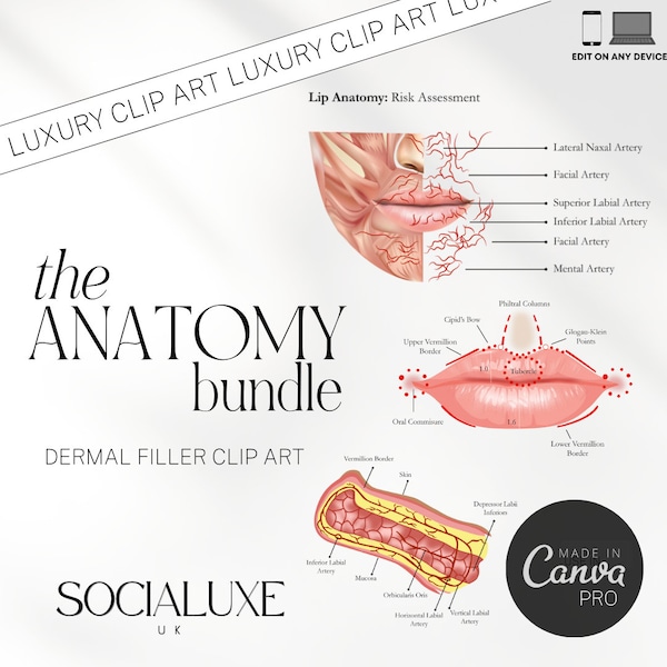 Lip Anatomy and Lip Filler Class - Etsy