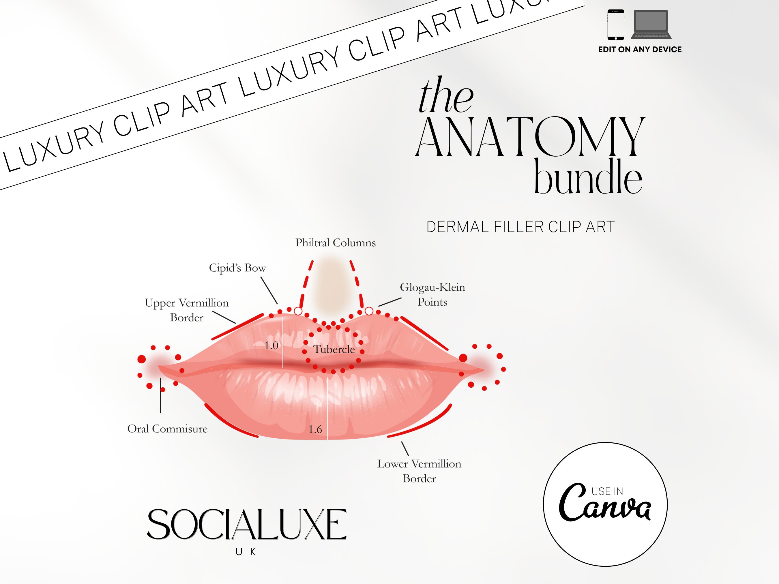 Paquete de imágenes prediseñadas de anatomía de labios de - Etsy México