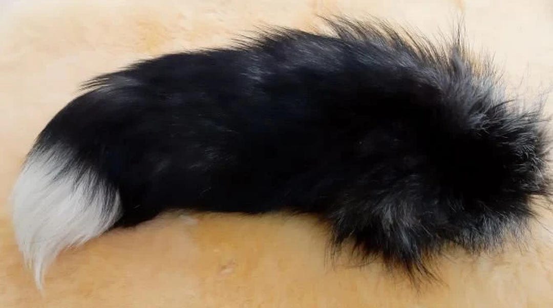 Genuine Grey Fox Tail 50-55 Cm - Etsy