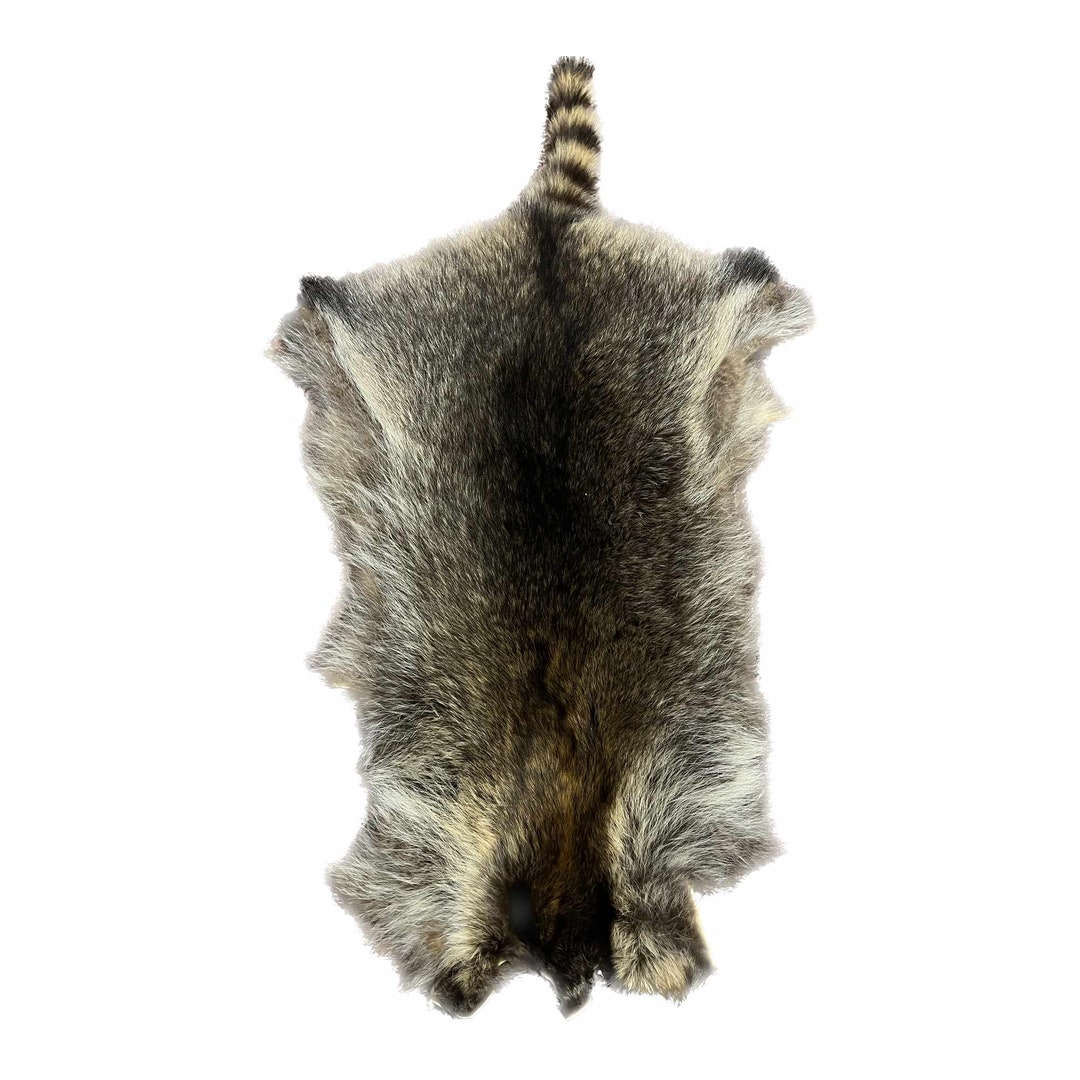 Genuine Raccoon Skin - Etsy