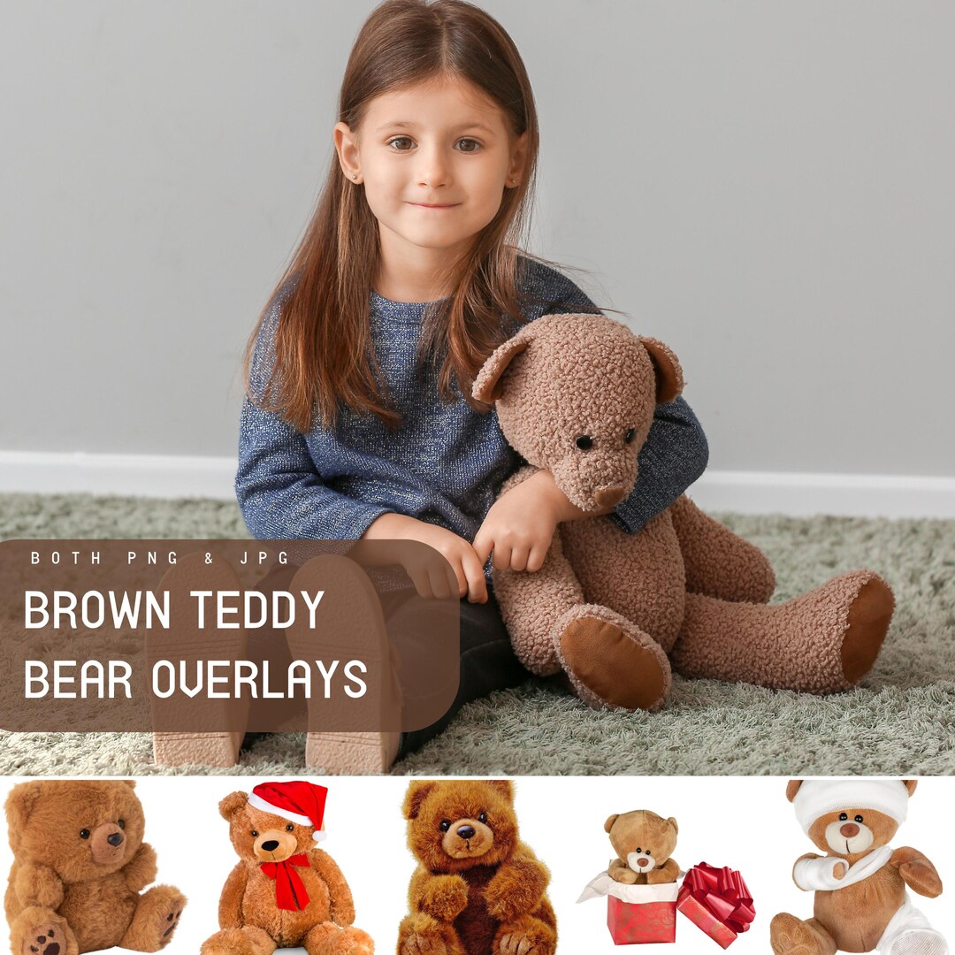 Brown Teddy Bear, Baby Cute Bears Overlay, Photoshop Overlays, Digital ...