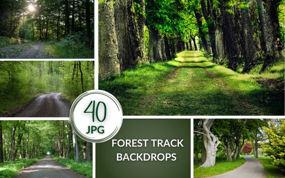 40 Forest Track Digital Backdrops Photo Backgrounds for - Etsy