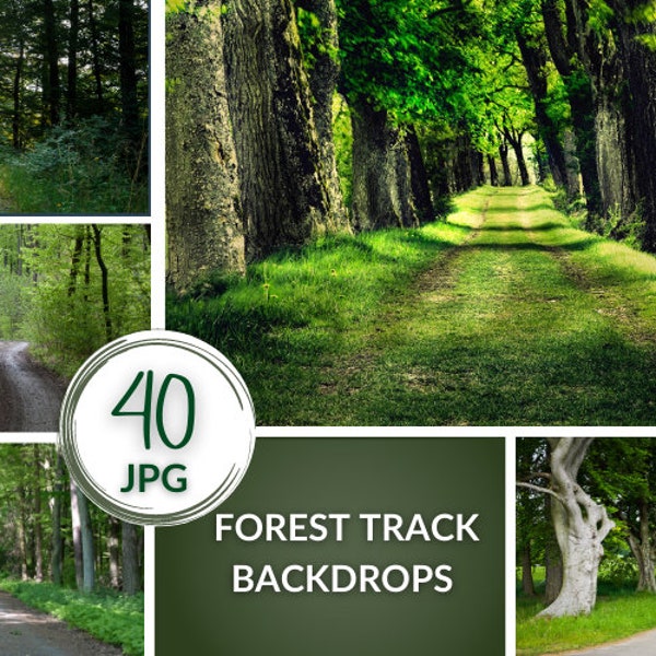 Forest Backdrop - Etsy