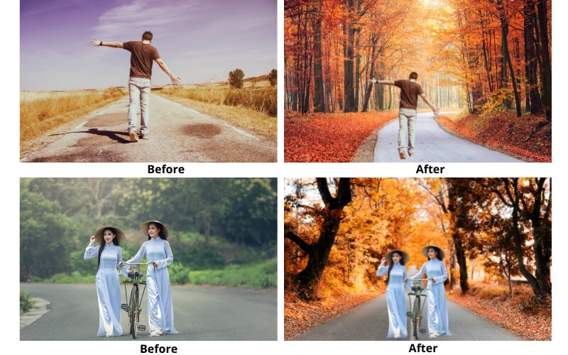 50 Autumn Road Track Backdrops, Fall Digital Photoshop Overlay ,trees ...