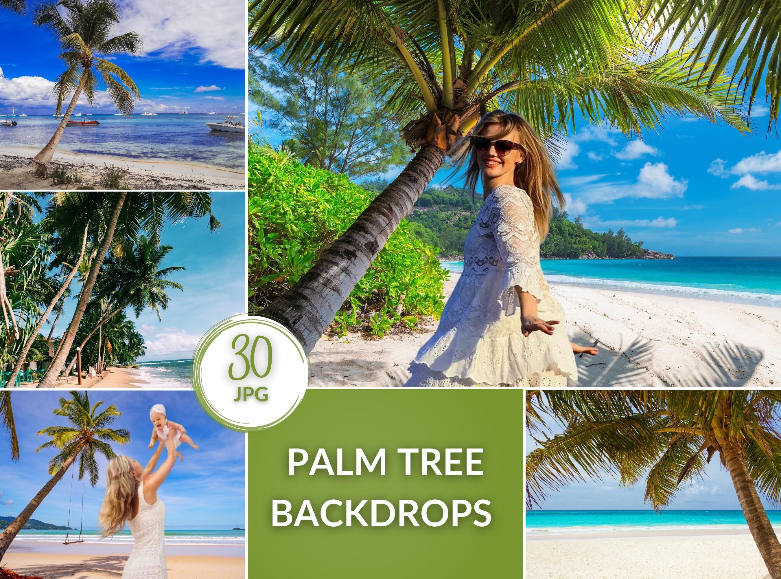 Palm Tree Backdrops, Summer Palm Tree Background, Summer Beach ...