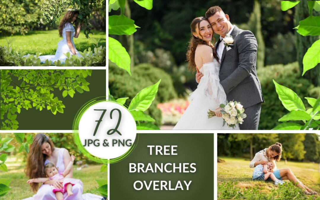 72 Tree Branches Overlay, Green Foliage Photoshop Overlays, Summer ...