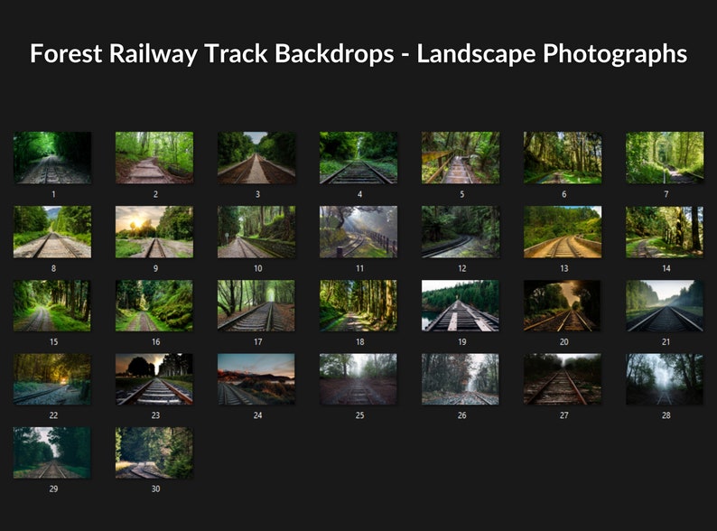 42 Forest Railway Track Digital Backdrops, Photo Backgrounds for ...