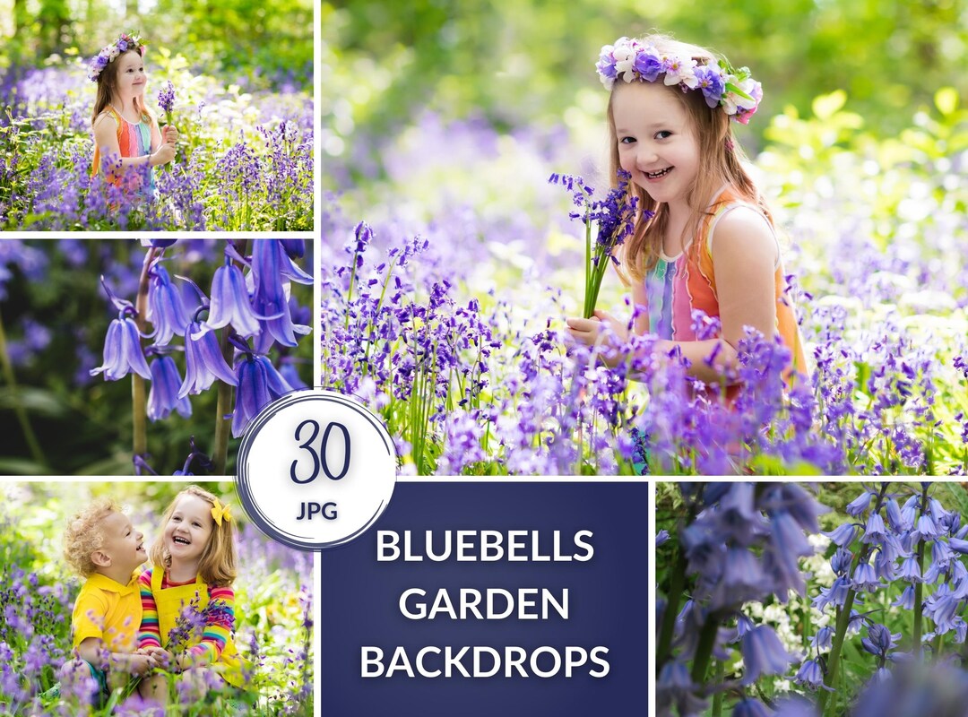 30 Bluebells Garden Backdrops, Digital JPG Photo Backgrounds With Green ...