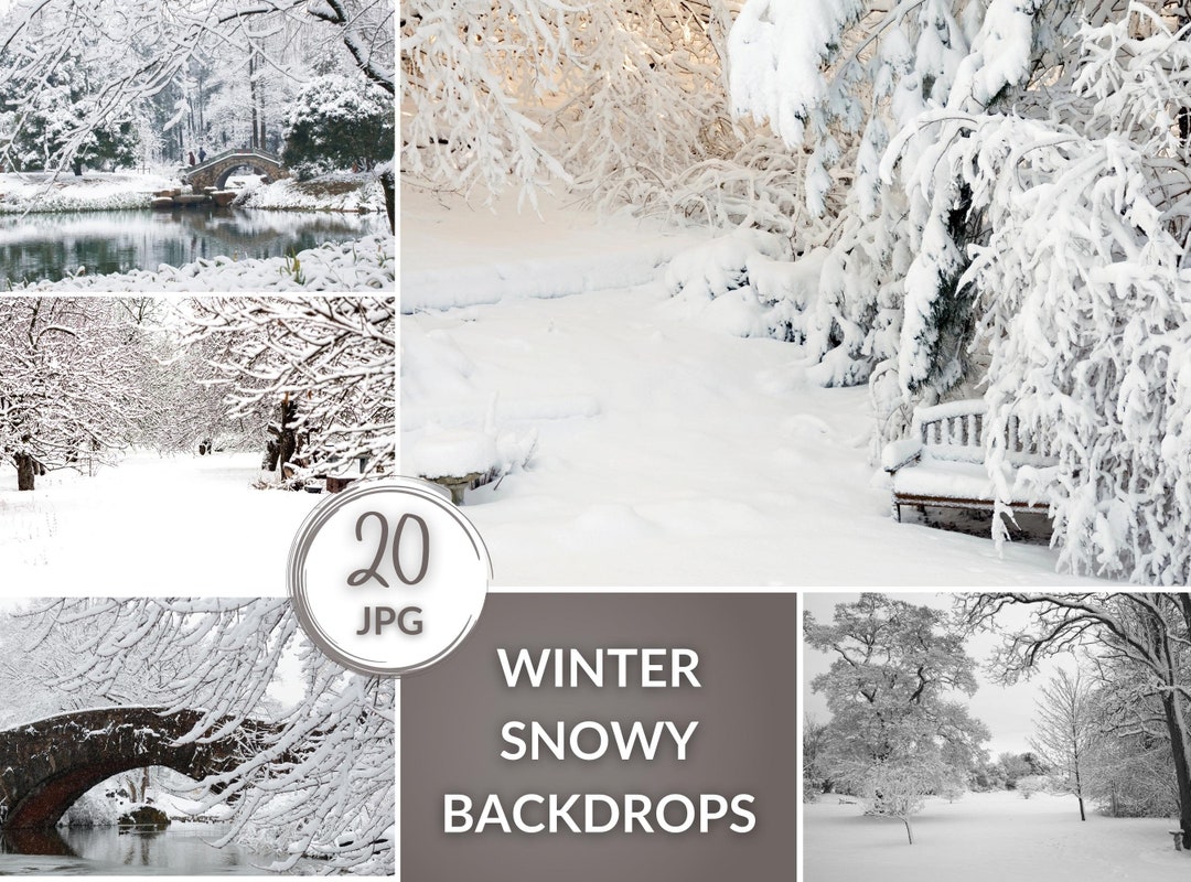 20 Winter Snowy Backdrops, Winter Digital Background, Snowy Tree ...