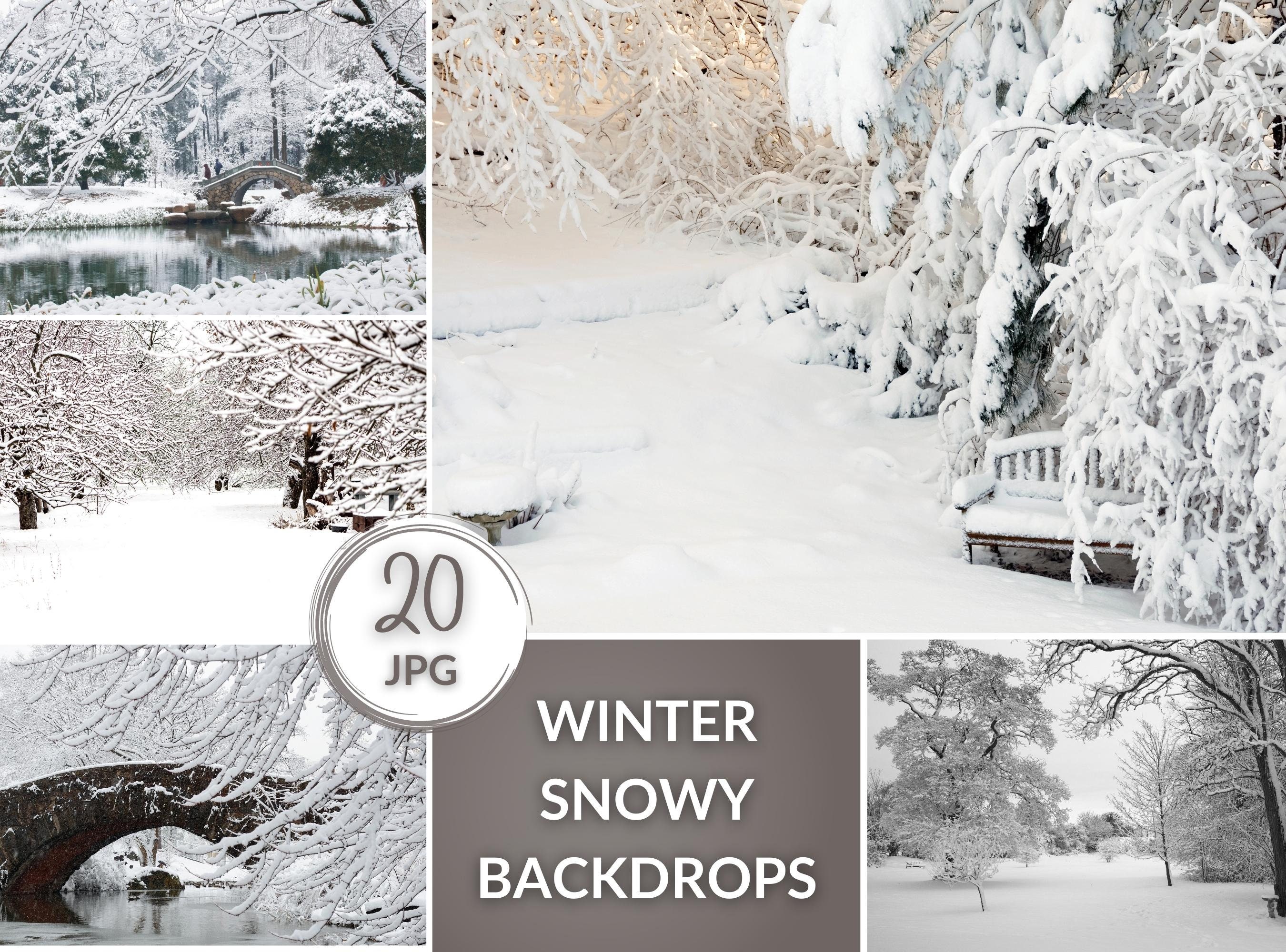 20 Winter Snowy Backdrops, Winter Digital Background, Snowy Tree ...