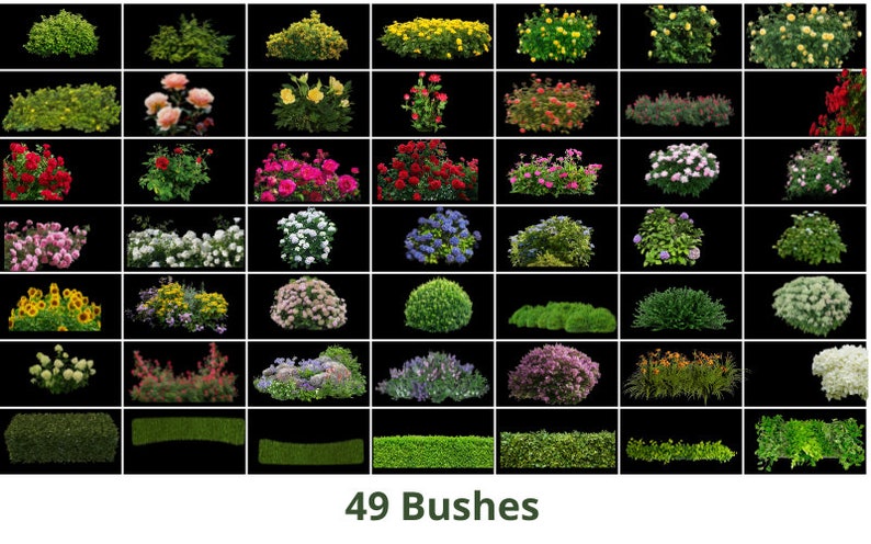 49 Flower Bushes Overlays, Digital Floral Photoshop Art Frames ...