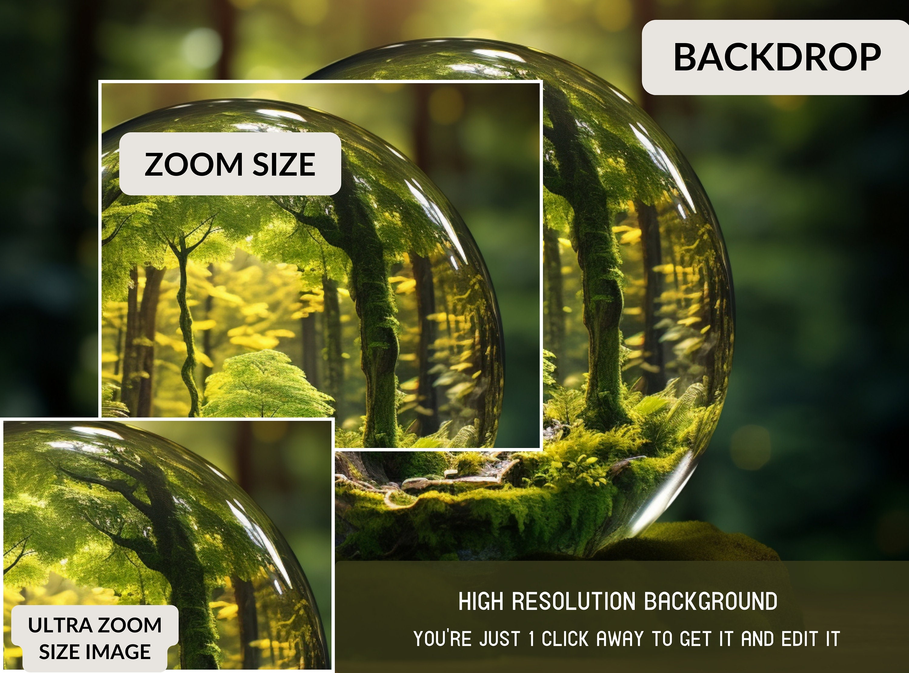 Forest Globe Backdrop, Globe Backdrop, Fairy Globe, Summer Globe ...