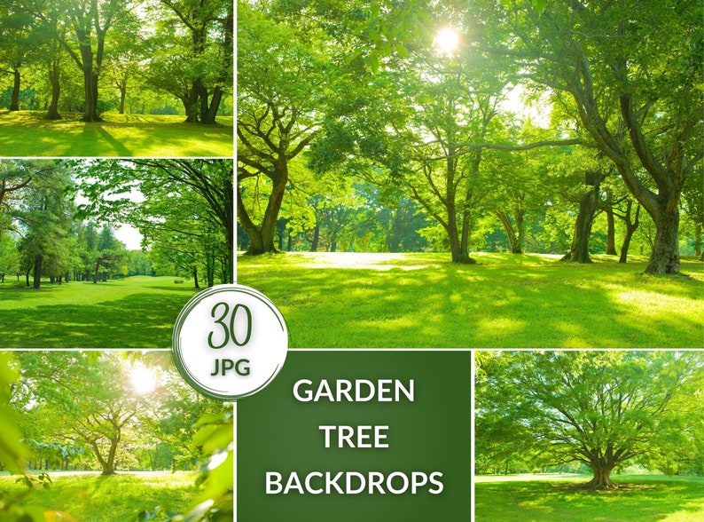 Summer Garden Tree Backdrops, Digital JPG Photo Backgrounds With Green ...