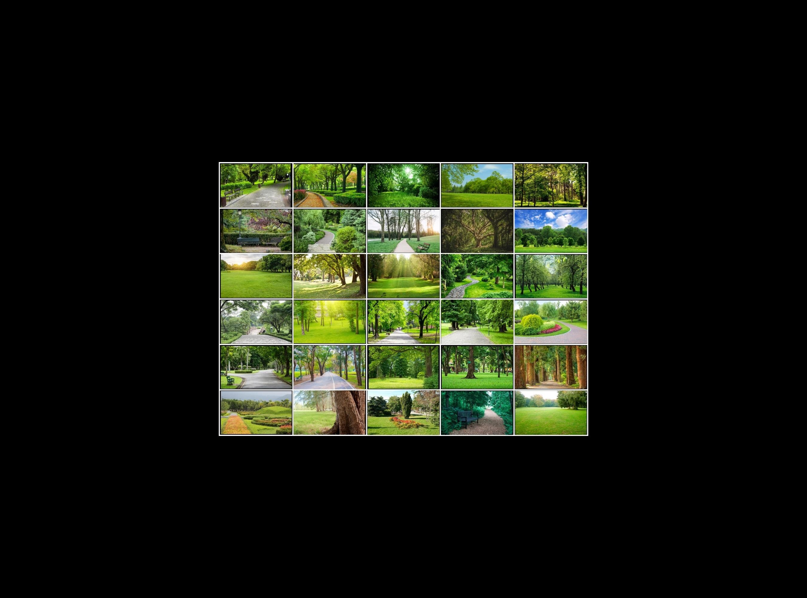 30 Photography Garden Backdrops, Digital JPG Photo Backgrounds With ...