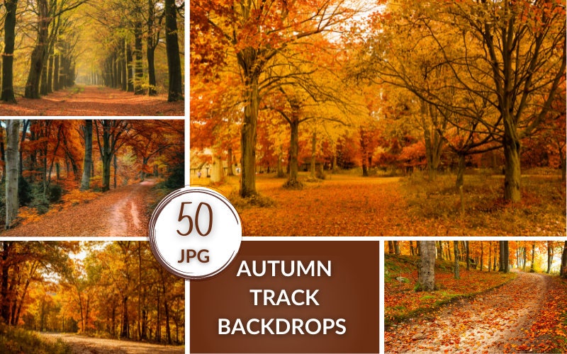 50 Autumn Track Backdrops, Fall Digital Photoshop Overlay ,trees ...