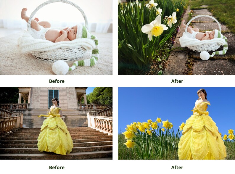 20 Daffodils Garden Backdrops, Digital JPG Photo Backgrounds With Green ...