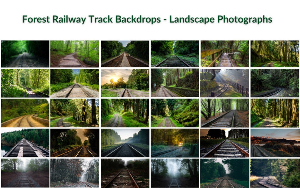 42 Forest Railway Track Digital Backdrops Photo Backgrounds - Etsy