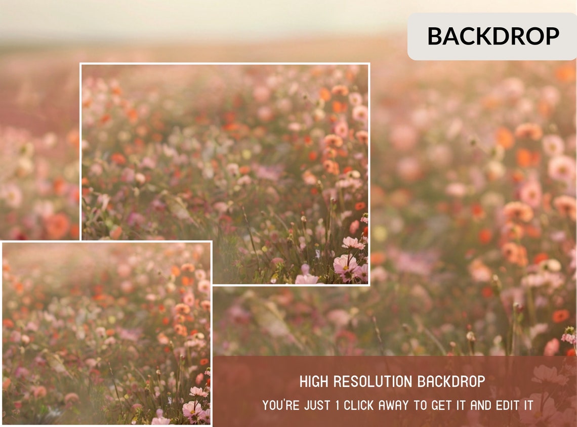 Blurred Spring Backdrop, Digital Portrait Photo Editing Photoshop ...