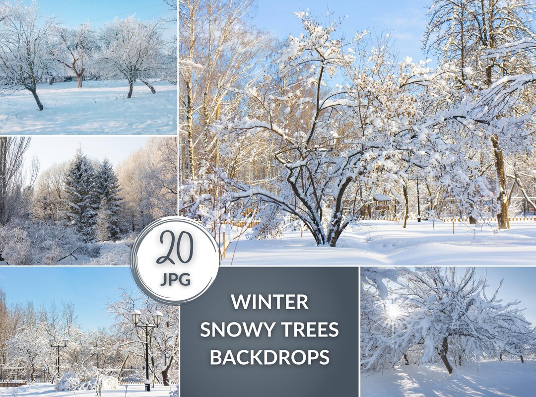 20 Winter Snowy Backdrops, Blue Sky, Winter Digital Background, Snowy ...