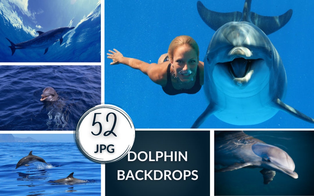 52 Dolphin Backdrops, Summer Swimming Dolphins, Digital File for ...