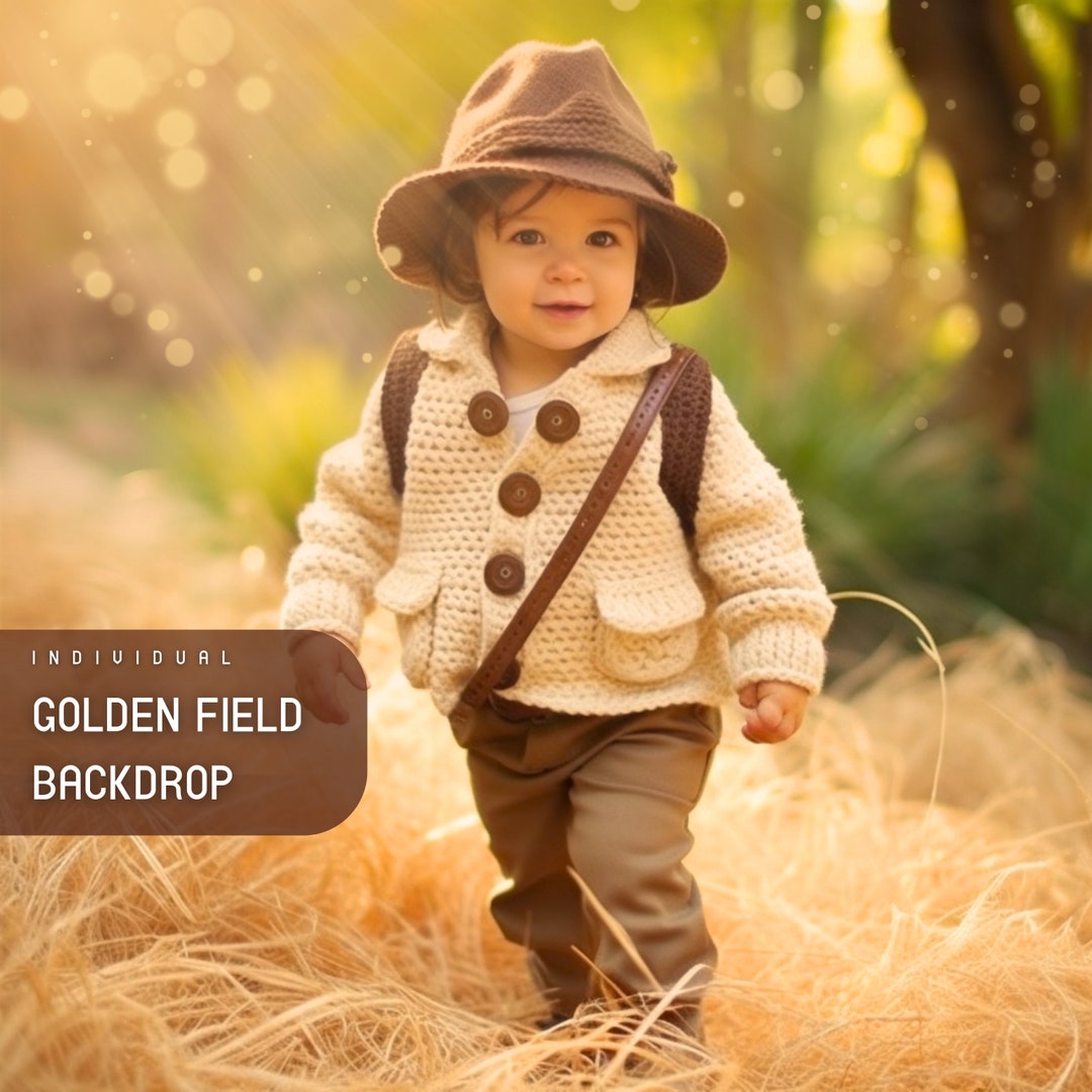 Golden Field Backdrops for Photoshop, Wheat Ears Photo Editing Effects ...