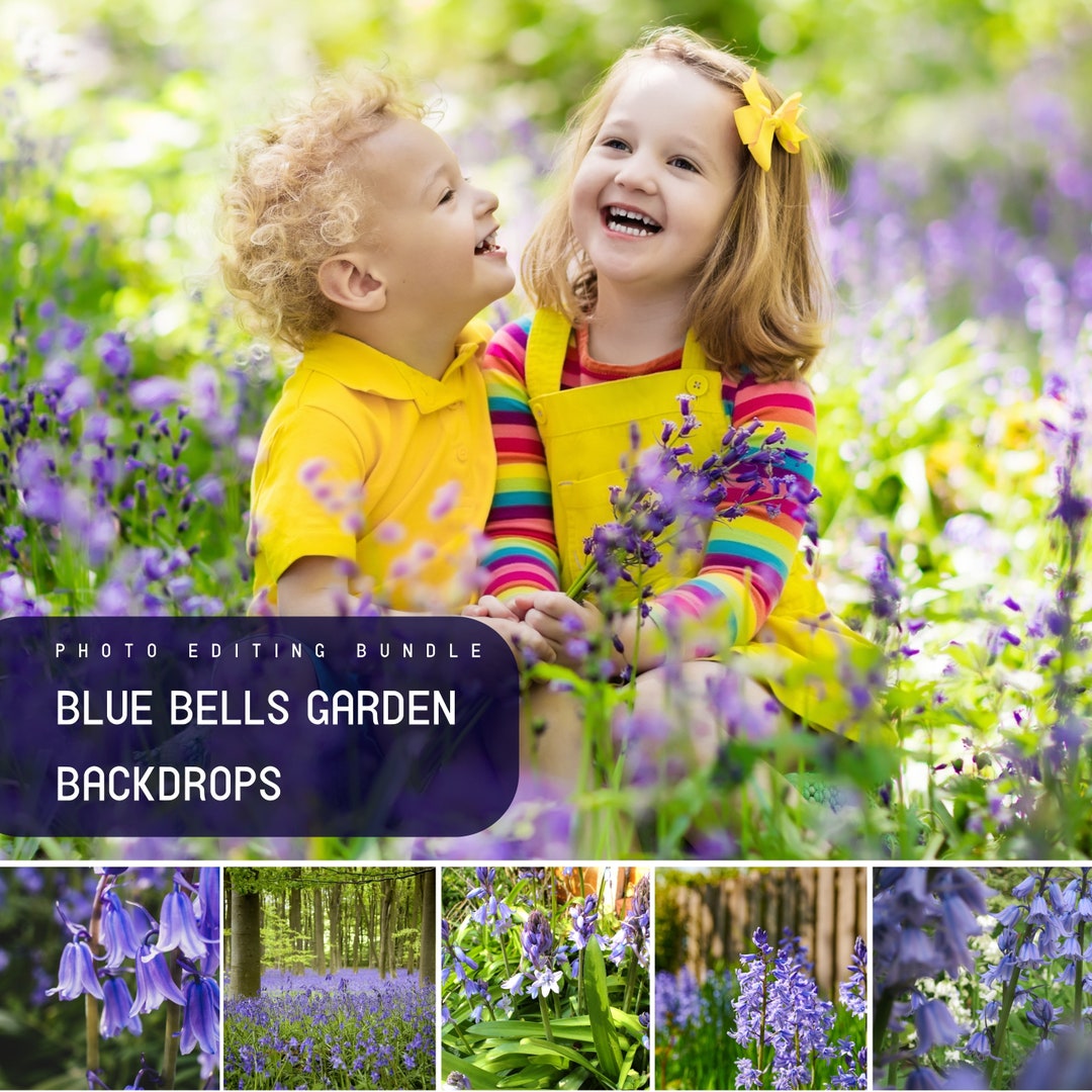 30 Bluebells Garden Backdrops, Digital JPG Photo Backgrounds With Green ...