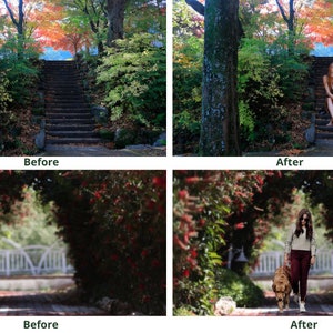 22 Garden Entrance Backdrops, Digital JPG Photo Backgrounds With Green ...