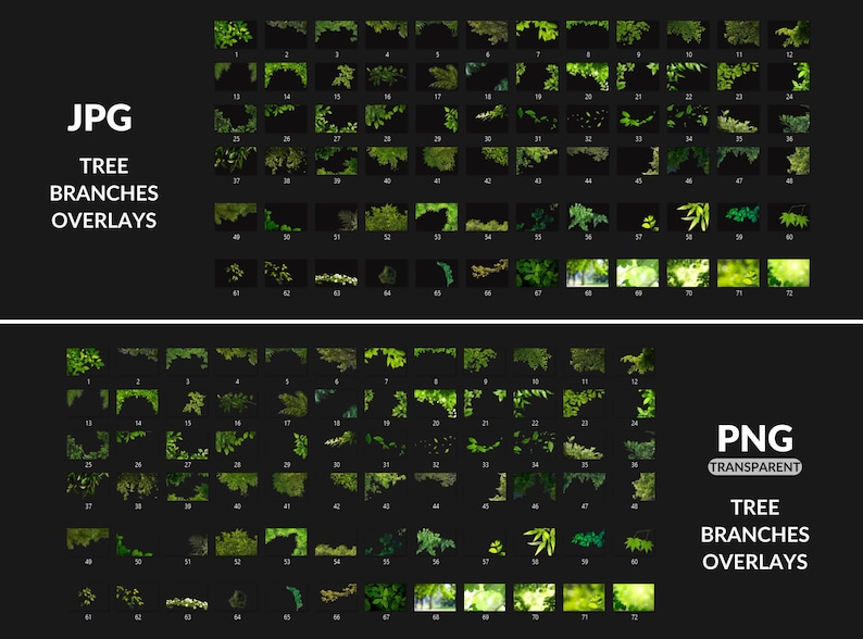 Tree Branch Overlay, Green Foliage Photoshop Overlays, Summer and ...