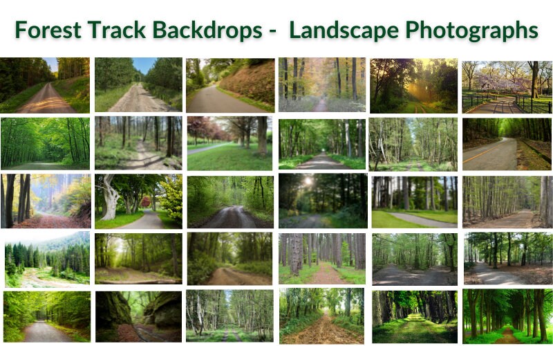 40 Forest Track Digital Backdrops Photo Backgrounds for - Etsy