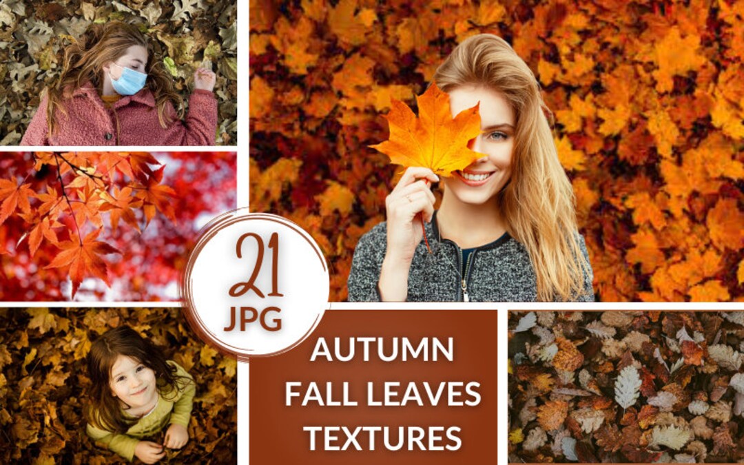 21 Autumn Fall Leaves Textures, Fall Digital Photoshop Backdrops for ...