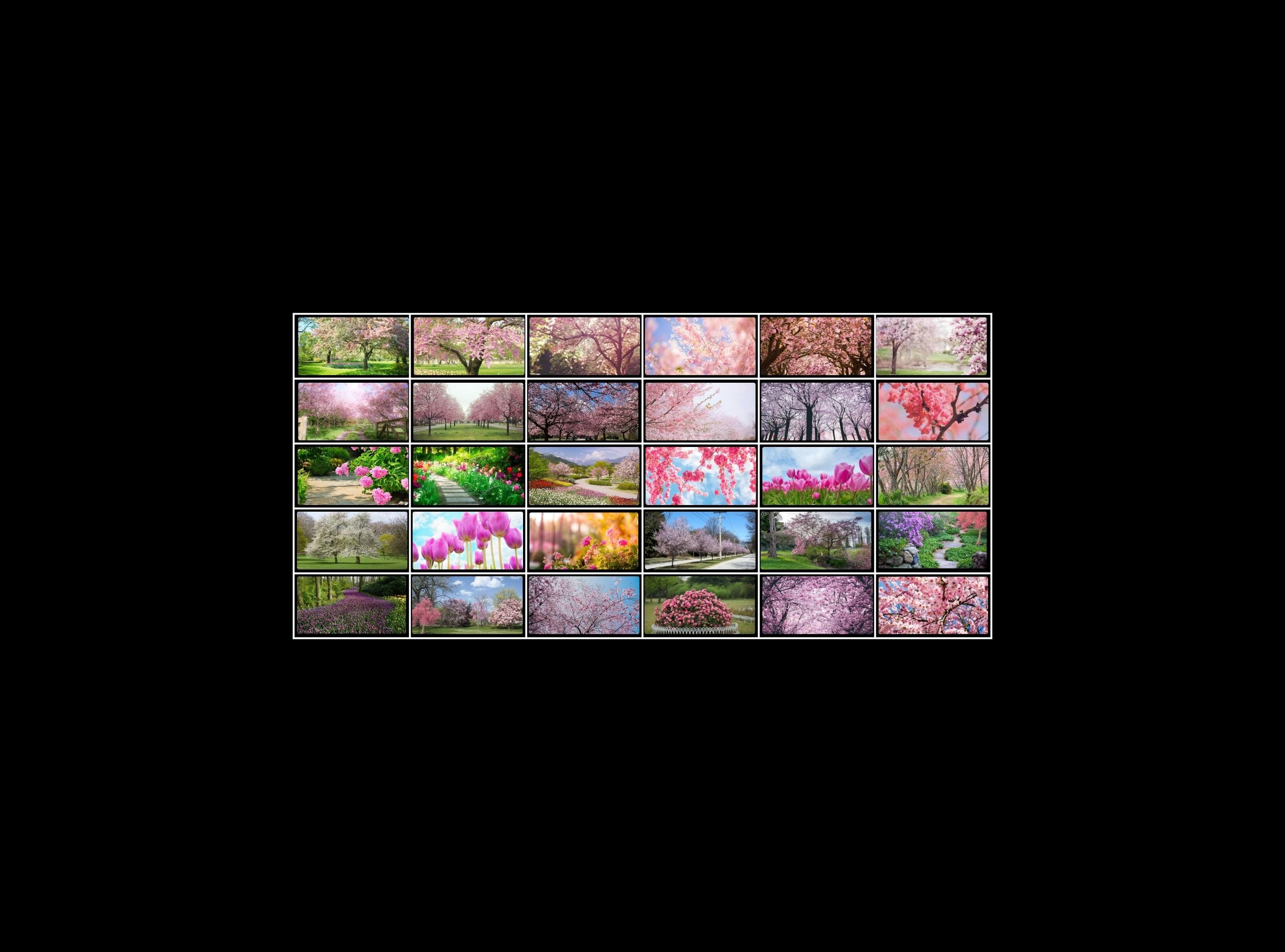 30 Blooming Garden Backdrops, Digital JPG Photo Backgrounds With Green ...