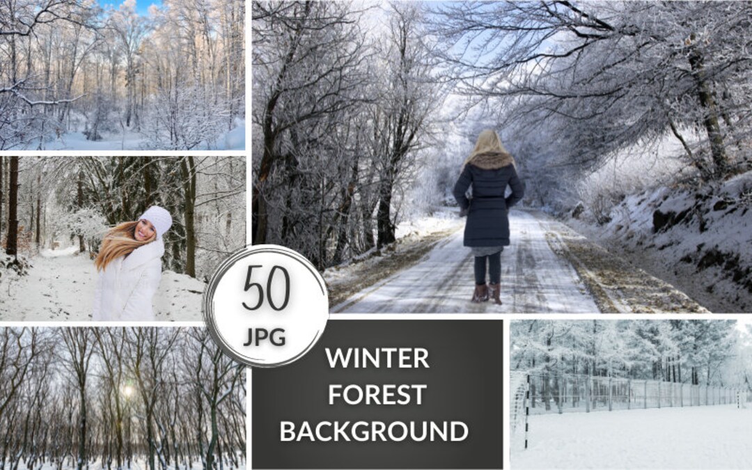 50 Winter Forest Backdrops, Christmas Digital Backdrop, Winter Digital ...