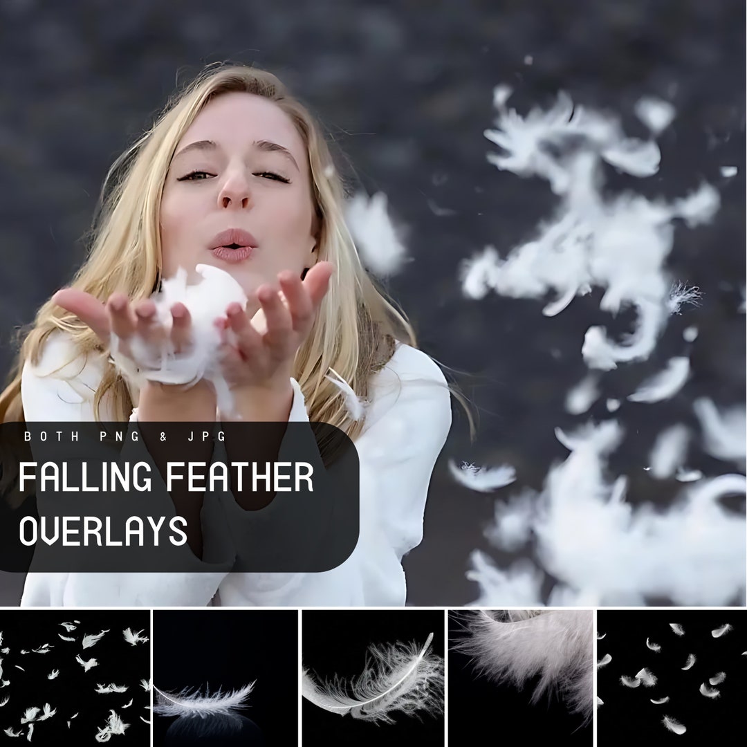 35 Falling Feather Overlays, White Feather, Summer Digital Overlay Pack ...