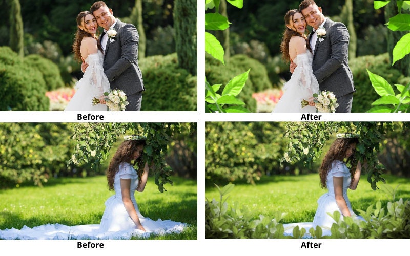 72 Tree Branches Overlay, Green Foliage Photoshop Overlays, Summer ...