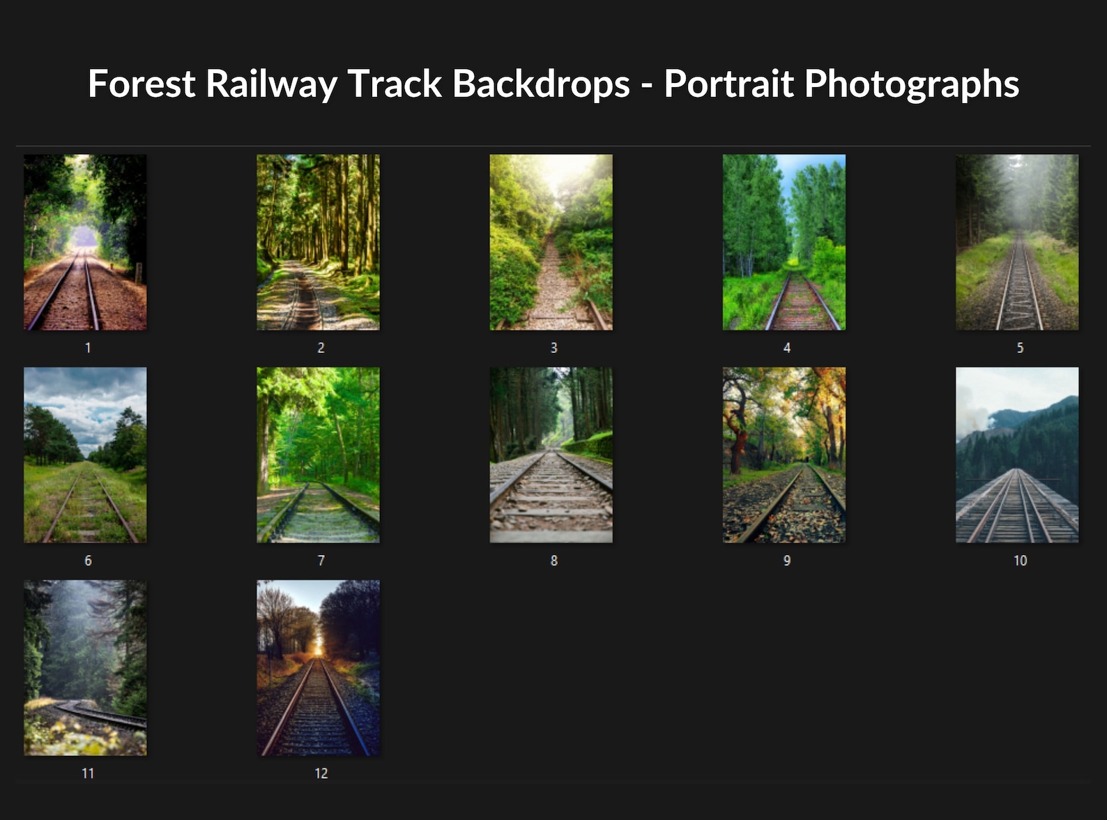 42 Forest Railway Track Digital Backdrops, Photo Backgrounds for ...