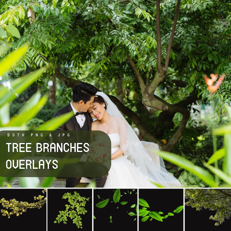 Tree Branch Overlay, Green Foliage Photoshop Overlays, Summer and ...