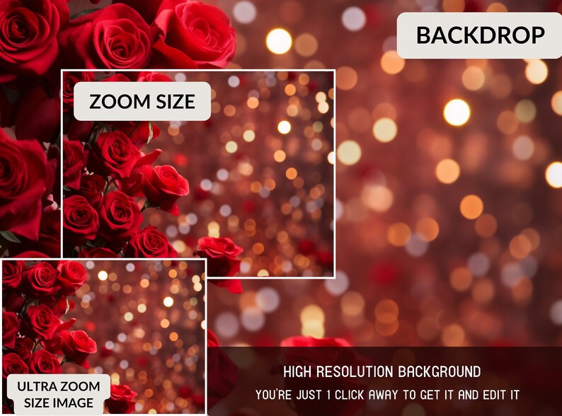 Close up Red Roses Portrait Photography, Valentine's Day Backdrop for ...