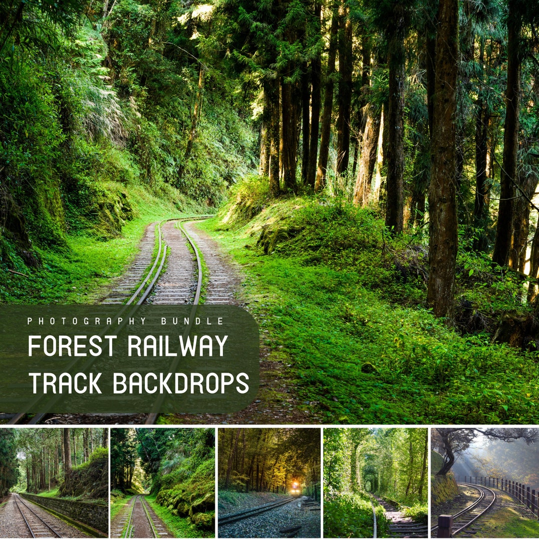 42 Forest Railway Track Digital Backdrops, Photo Backgrounds for ...