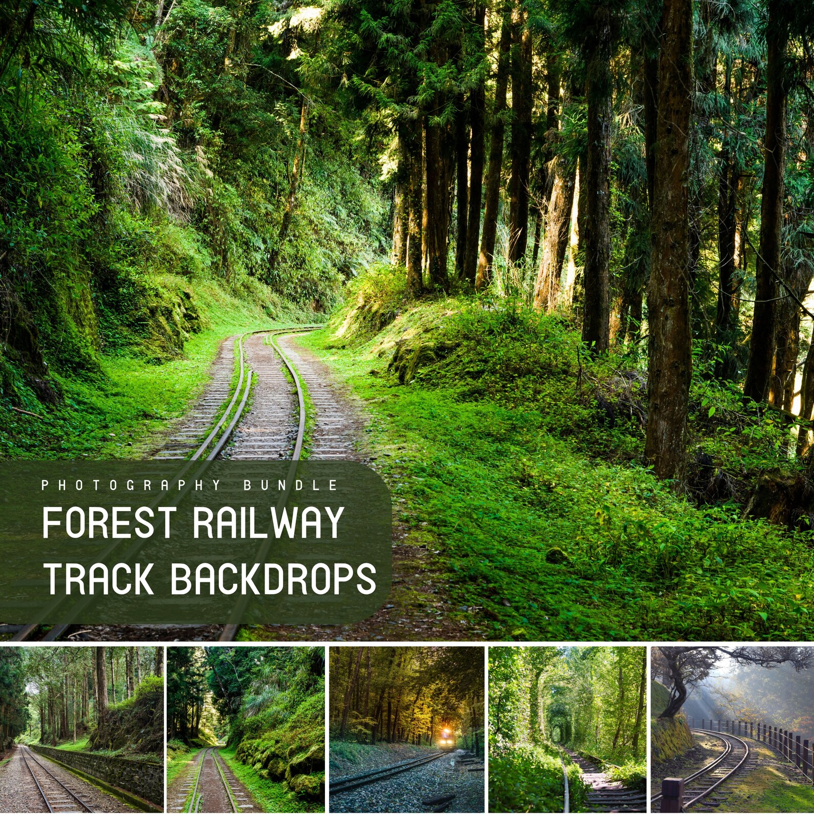 42 Forest Railway Track Digital Backdrops, Photo Backgrounds for ...