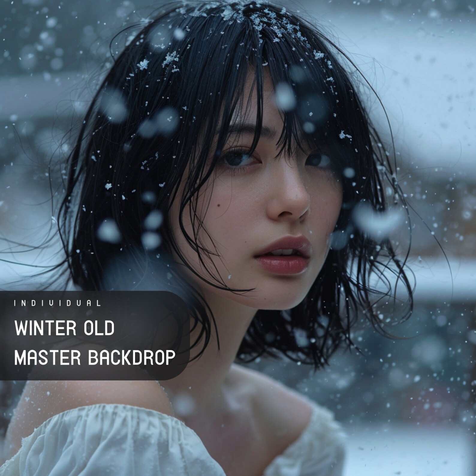 Snow Backdrops, Realistic Snow Backdrop, Light Snow Backdrop, Realistic ...
