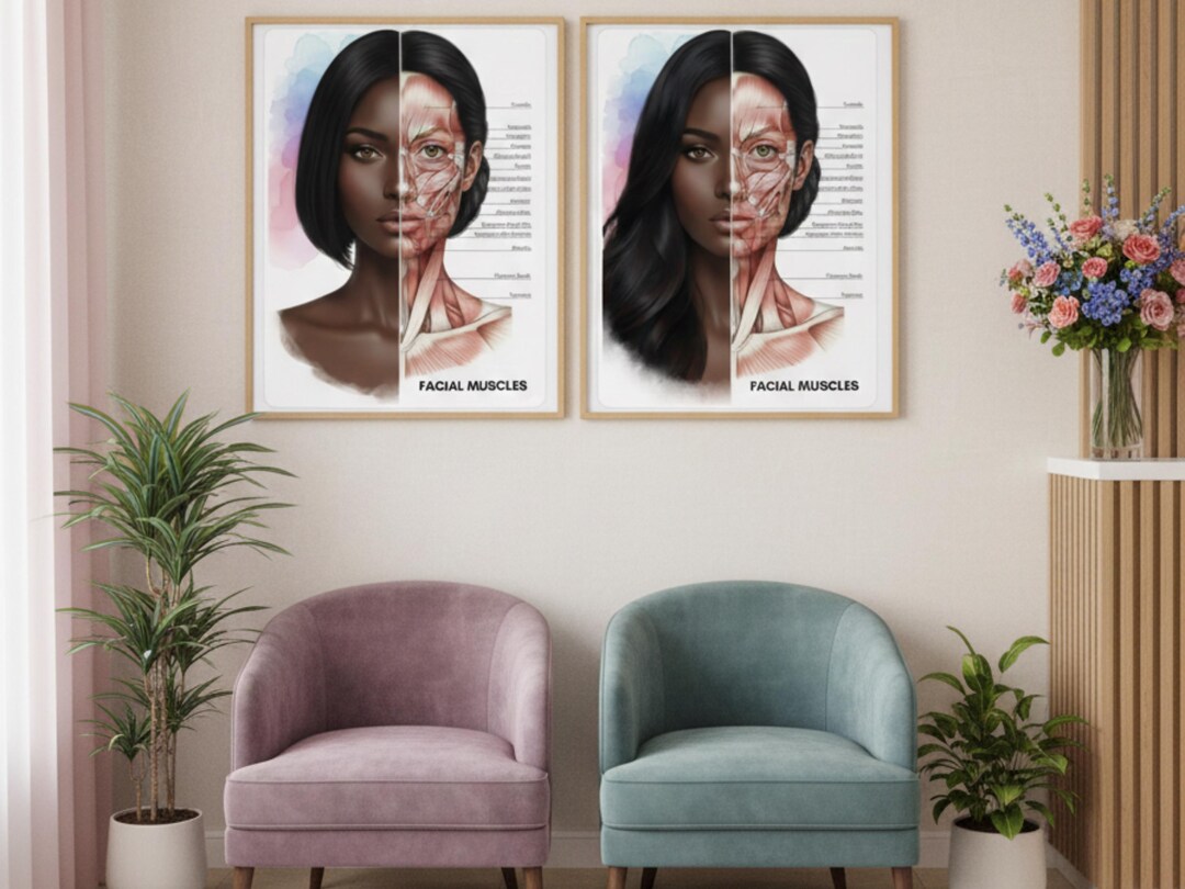 Facial Muscles Anatomy Poster BUNDLE| Aesthetic Injector Wall Art ...