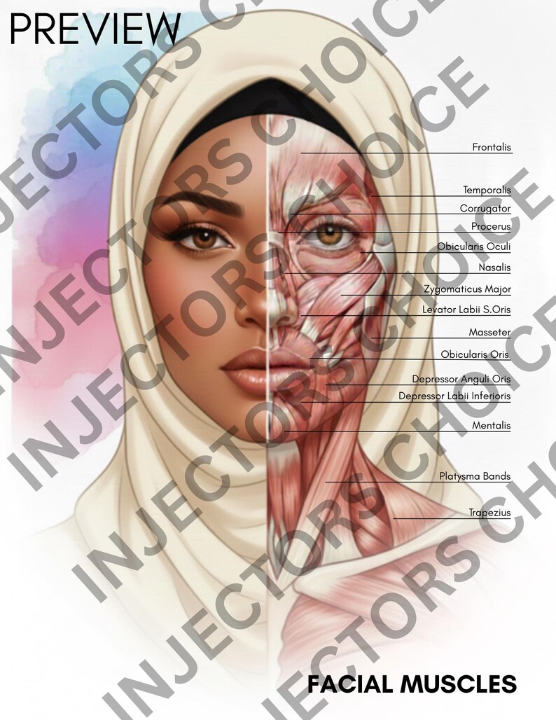 Facial Muscles Anatomy Poster BUNDLE| Aesthetic Injector Wall Art ...