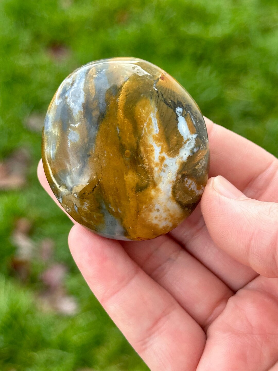 Ocean Jasper Palm Stone/polished Ocean Jasper Palm - Etsy
